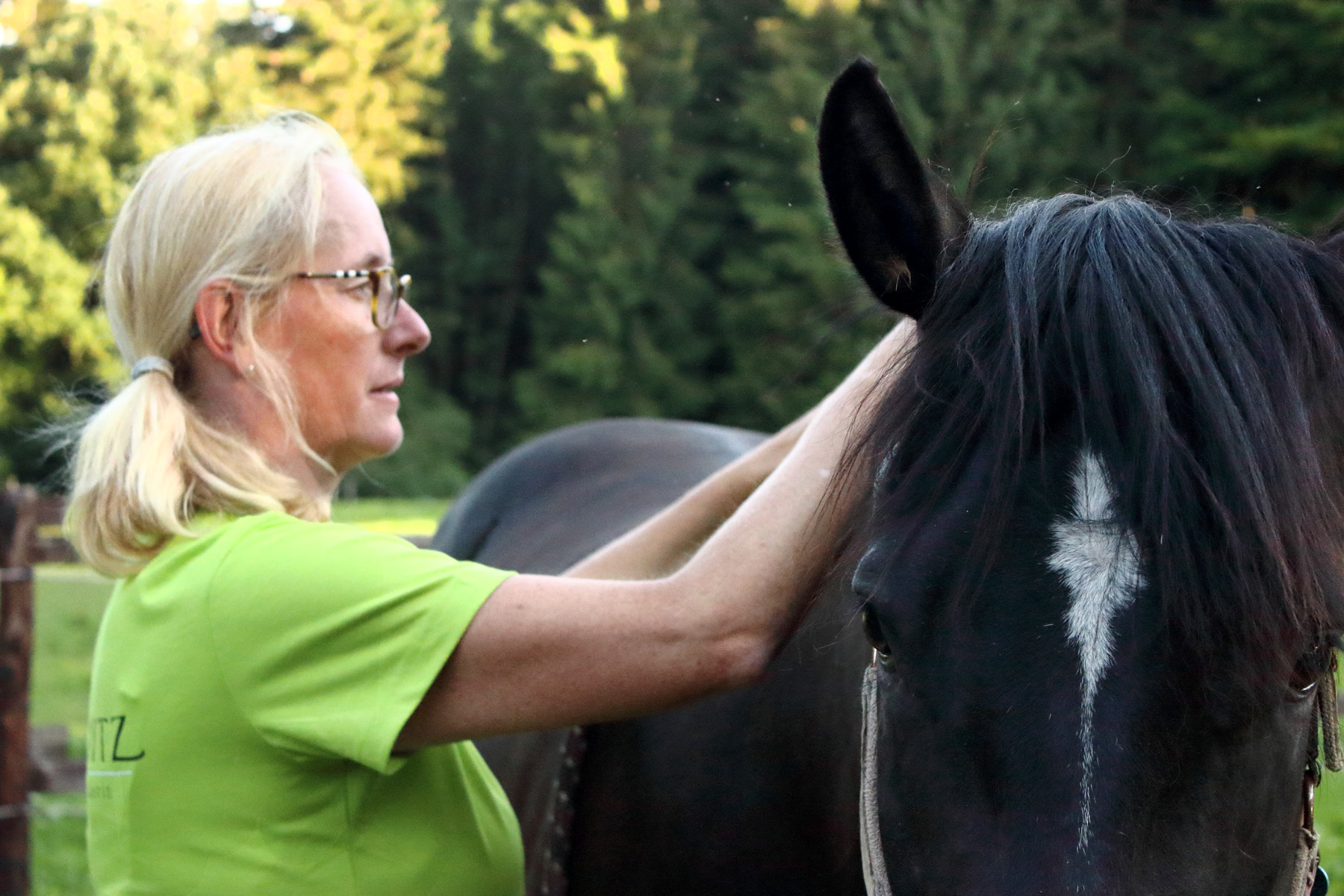 Birgit Schmitz: Ihre Tierheilpraktikerin in Simmerath